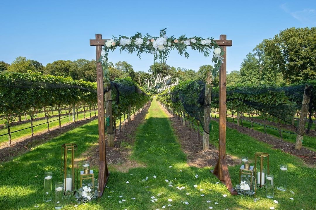 STUDIO B Design | Arden